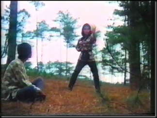 Schlock Treatment Archive: The Revenge Of The Lady Fighter (1973)